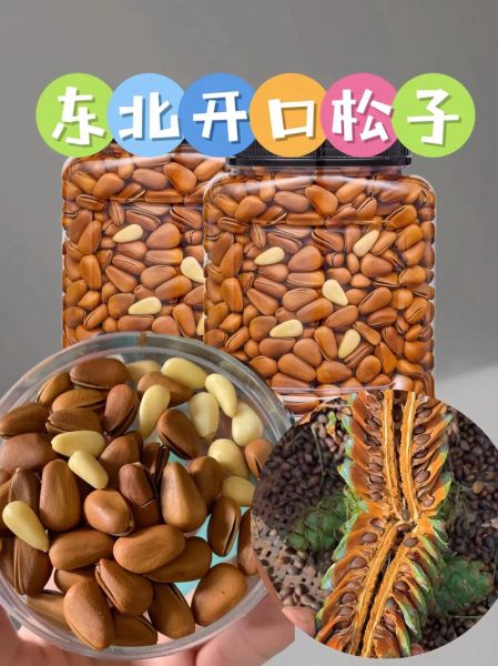 2021年松子价格多少钱一斤_为什么今年松子这么贵-第1张图片-山城妙识