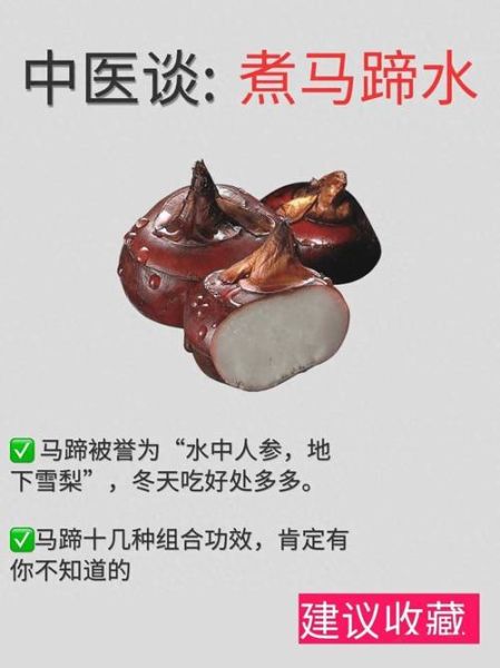 荸荠的功效与作用_荸荠怎么吃最润肺-第2张图片-山城妙识