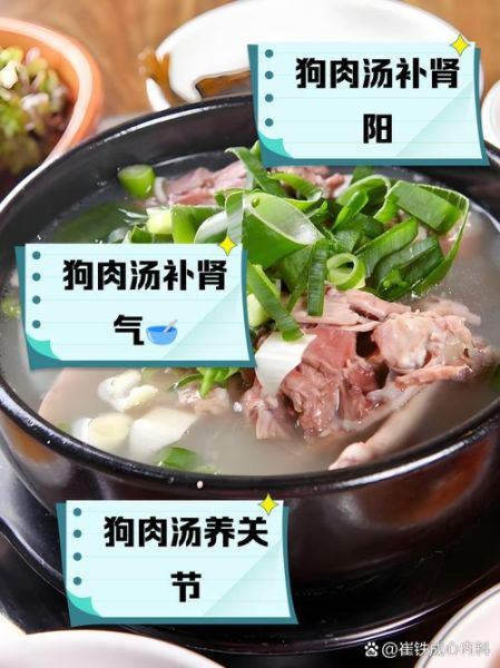 正宗炖狗肉的做法窍门_如何去除土腥味-第1张图片-山城妙识 正宗炖狗肉的做法窍门_如何去除土腥味-第1张图片-山城妙识