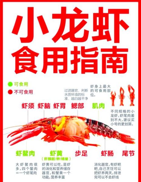 龙虾怎么洗_龙虾清洗最干净的方法-第1张图片-山城妙识