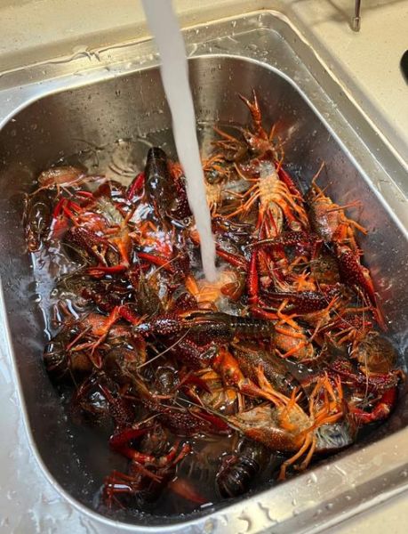 龙虾怎么洗_龙虾清洗最干净的方法-第3张图片-山城妙识
