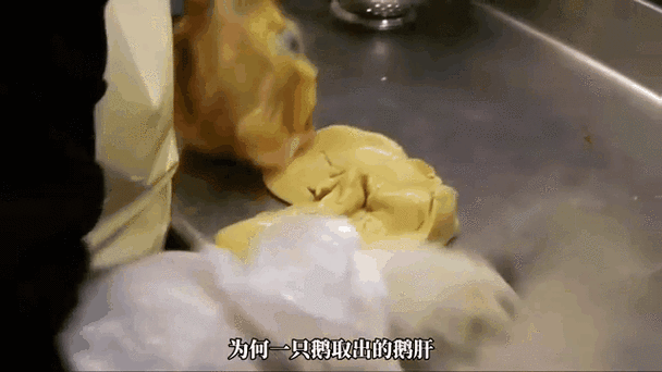 法国鹅肝为什么残忍_鹅肝制作过程-第2张图片-山城妙识 法国鹅肝为什么残忍_鹅肝制作过程-第2张图片-山城妙识