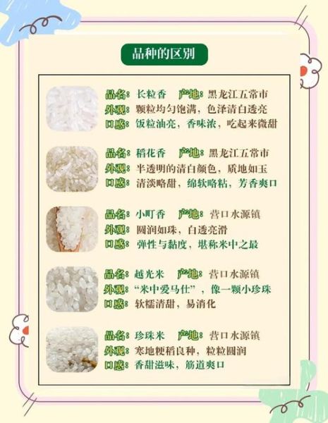 籼米的功效与作用_籼米适合什么人吃-第1张图片-山城妙识 籼米的功效与作用_籼米适合什么人吃-第1张图片-山城妙识