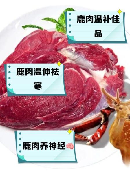鹿肉的功效与禁忌_什么人不能吃鹿肉-第1张图片-山城妙识 鹿肉的功效与禁忌_什么人不能吃鹿肉-第1张图片-山城妙识
