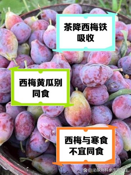 西梅不能和什么一起吃_西梅食用禁忌有哪些-第1张图片-山城妙识 西梅不能和什么一起吃_西梅食用禁忌有哪些-第1张图片-山城妙识