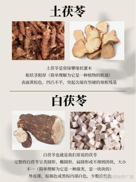 白茯苓和茯苓的区别_白茯苓与茯苓功效一样吗-第1张图片-山城妙识