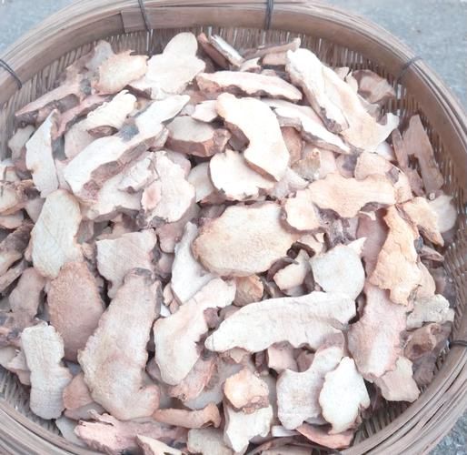 白茯苓和茯苓的区别_白茯苓与茯苓功效一样吗-第2张图片-山城妙识