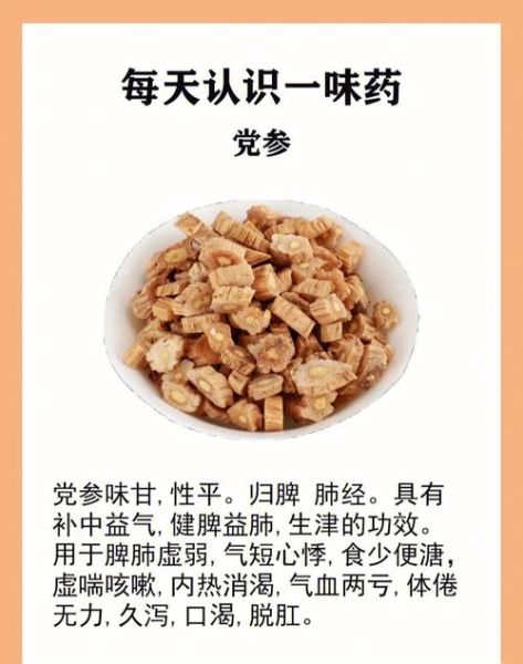 孕妇可以吃党参吗_党参对孕妇的功效与禁忌-第2张图片-山城妙识 孕妇可以吃党参吗_党参对孕妇的功效与禁忌-第2张图片-山城妙识
