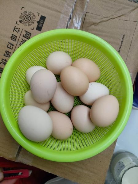 鸡蛋照片图片大全大图_鸡蛋高清图怎么拍-第1张图片-山城妙识