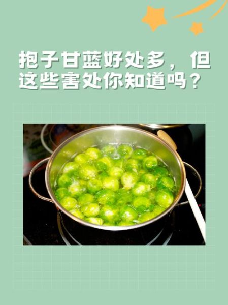 抱子甘蓝怎么做好吃_抱子甘蓝营养价值高吗-第3张图片-山城妙识