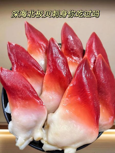 北极贝多少钱一只_北极贝价格为什么差异大-第1张图片-山城妙识