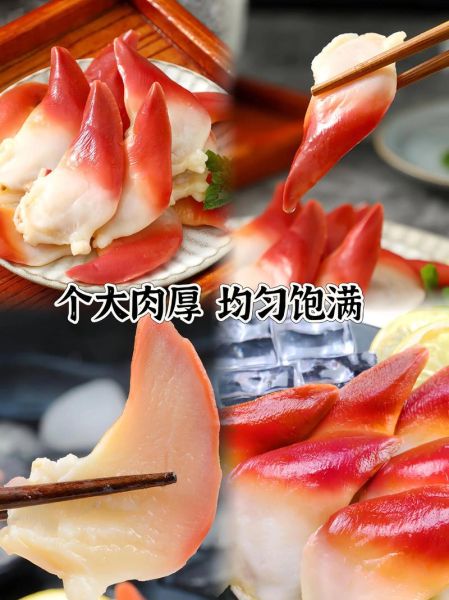 北极贝多少钱一只_北极贝价格为什么差异大-第3张图片-山城妙识