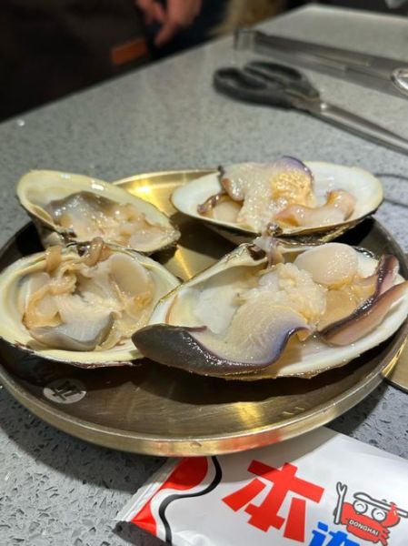 北极贝多少钱一只_北极贝价格为什么差异大-第2张图片-山城妙识