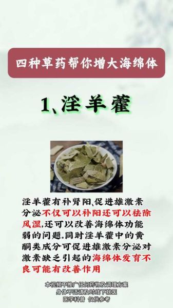 增大增长中药配方20公分_真的有用吗-第1张图片-山城妙识