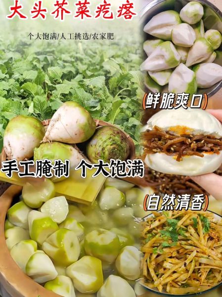 芥菜疙瘩怎么腌制_芥菜疙瘩腌制方法大全-第1张图片-山城妙识 芥菜疙瘩怎么腌制_芥菜疙瘩腌制方法大全-第1张图片-山城妙识