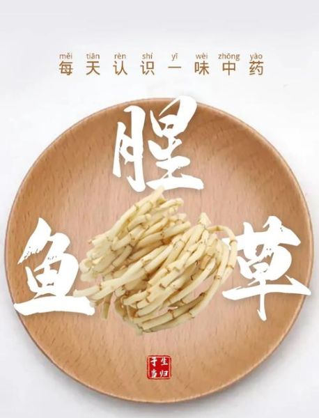 鱼腥草的功效与副作用_鱼腥草可以长期吃吗-第3张图片-山城妙识