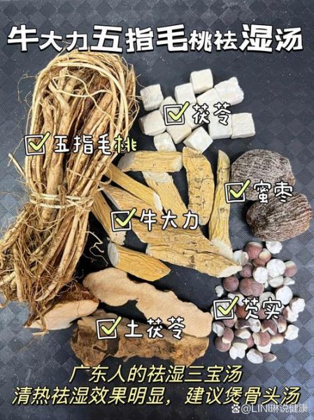 五指毛桃泡酒配方大全_五指毛桃泡酒的功效与禁忌-第2张图片-山城妙识