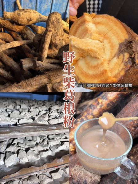 粉葛和葛根是一样的吗_粉葛与葛根区别-第2张图片-山城妙识 粉葛和葛根是一样的吗_粉葛与葛根区别-第2张图片-山城妙识