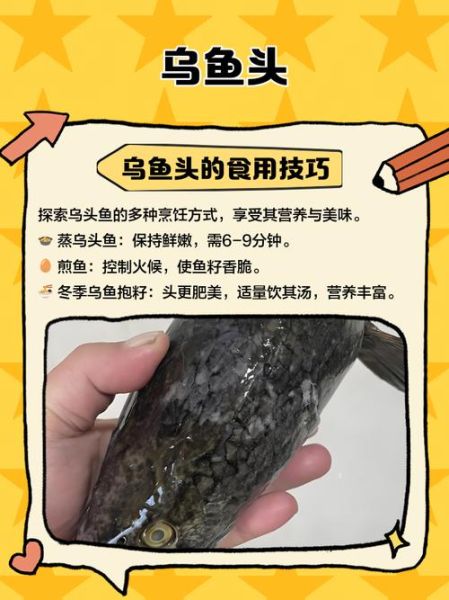 乌头鱼图片怎么区分_乌头鱼高清图片大全-第2张图片-山城妙识 乌头鱼图片怎么区分_乌头鱼高清图片大全-第2张图片-山城妙识