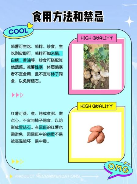 凉薯生吃好还是熟吃好_生吃熟吃区别-第1张图片-山城妙识 凉薯生吃好还是熟吃好_生吃熟吃区别-第1张图片-山城妙识