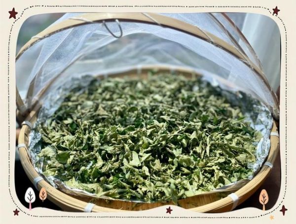 荷叶茶怎么做_荷叶茶家庭自制步骤-第3张图片-山城妙识