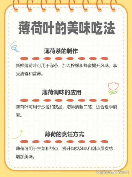 薄荷叶怎么吃_薄荷叶的吃法大全-第2张图片-山城妙识