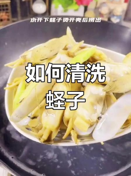 蛏子怎么清洗_蛏子怎么炒才鲜嫩-第1张图片-山城妙识