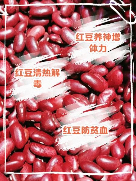 小红豆的功效与作用有哪些_小红豆的营养价值高吗-第1张图片-山城妙识