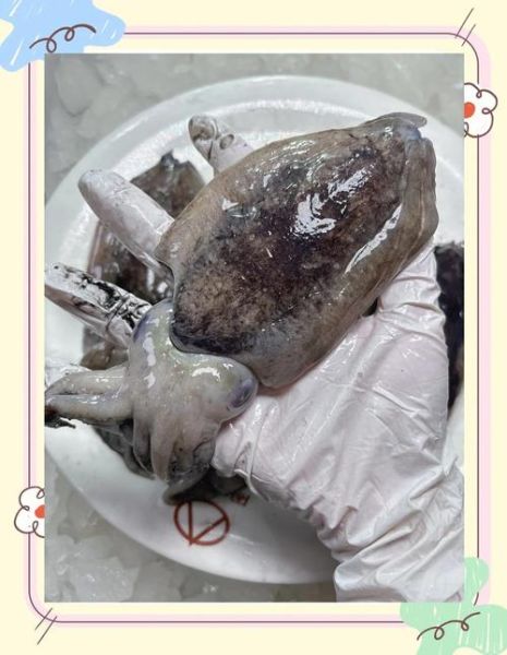 新鲜墨鱼怎么做好吃_墨鱼炒什么最鲜嫩-第2张图片-山城妙识