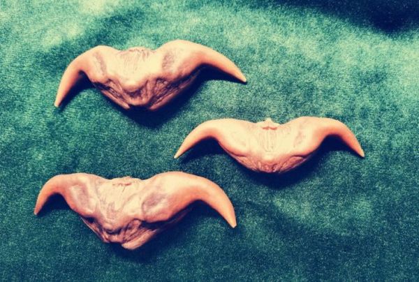 菱角读音是什么_菱角怎么读拼音-第2张图片-山城妙识