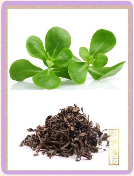 马齿苋提取物对皮肤有什么功效_马齿苋提取物能修复敏感肌吗-第1张图片-山城妙识