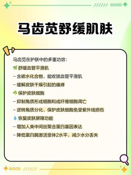 马齿苋提取物对皮肤有什么功效_马齿苋提取物能修复敏感肌吗-第3张图片-山城妙识