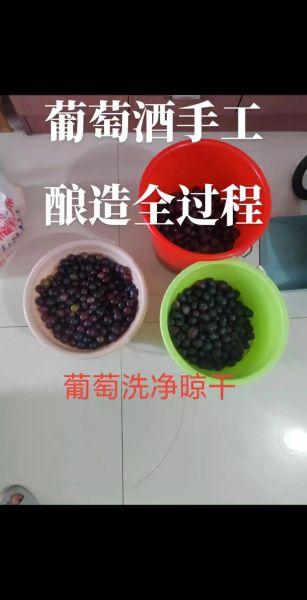 葡萄酒怎么酿_自制葡萄酒需要哪些材料-第1张图片-山城妙识 葡萄酒怎么酿_自制葡萄酒需要哪些材料-第1张图片-山城妙识