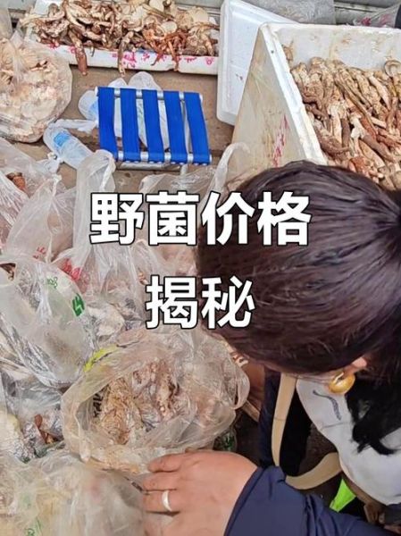 鸡枞菇多少钱一斤_鸡枞菇怎么保存-第2张图片-山城妙识