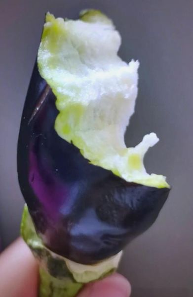 生吃茄子减肥靠谱吗_生吃茄子减肥15斤真实经历-第1张图片-山城妙识 生吃茄子减肥靠谱吗_生吃茄子减肥15斤真实经历-第1张图片-山城妙识