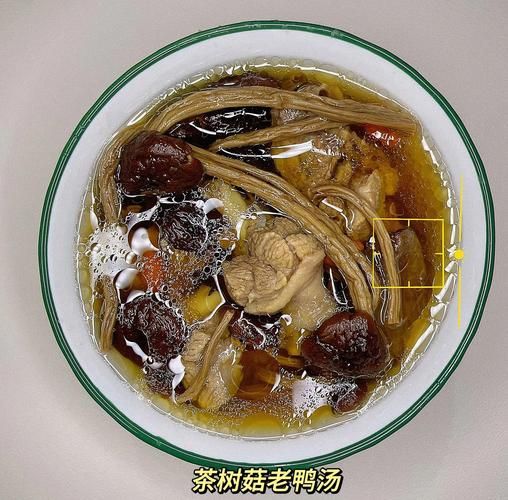 茶树菇老鸭汤是寒性吗_孕妇能喝吗-第1张图片-山城妙识