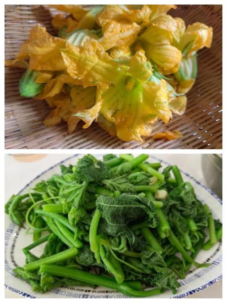 南瓜藤怎么炒才好吃_南瓜藤炒前要不要焯水-第3张图片-山城妙识