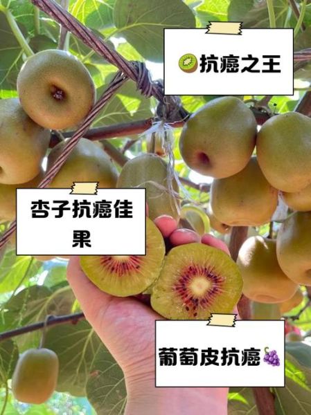 癌症最怕的4种水果是什么_怎么吃抗癌效果翻倍-第1张图片-山城妙识