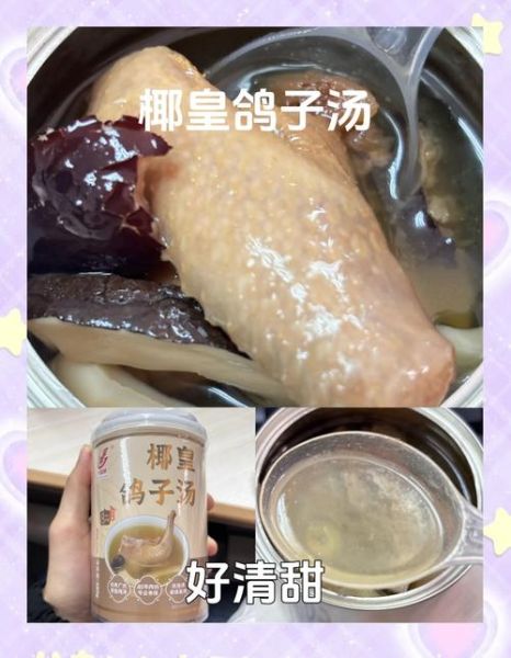 椰子炖鸽子汤的做法_鸽子汤怎么炖不腥-第2张图片-山城妙识