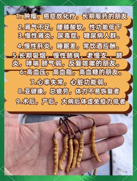 冬虫夏草的功效与作用_冬虫夏草适合什么人吃-第2张图片-山城妙识 冬虫夏草的功效与作用_冬虫夏草适合什么人吃-第2张图片-山城妙识