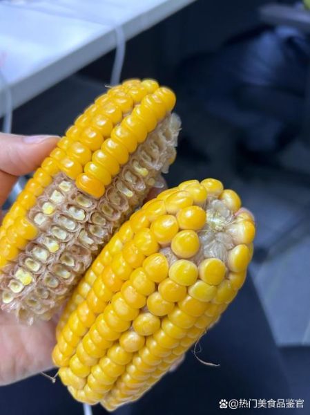老玉米怎么煮才能软_老玉米煮多久才软糯-第3张图片-山城妙识 老玉米怎么煮才能软_老玉米煮多久才软糯-第3张图片-山城妙识