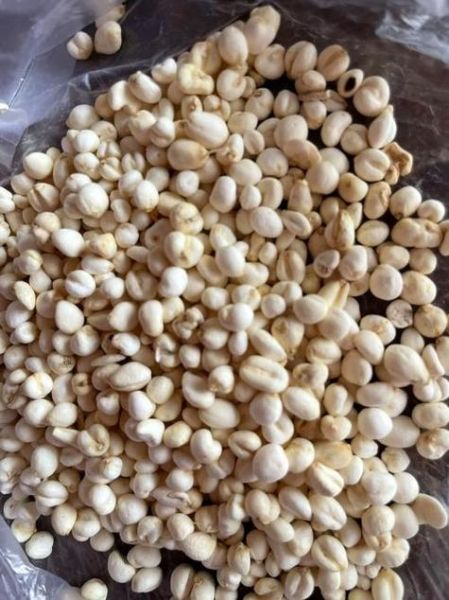 川贝粉怎么吃止咳_川贝粉一天吃几次-第1张图片-山城妙识