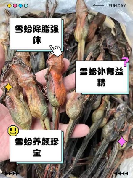 吃雪蛤的最佳时间_雪蛤什么时候吃效果最好-第1张图片-山城妙识