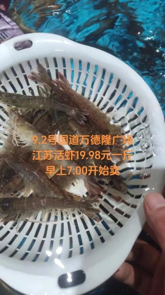 明虾价格多少钱一斤_明虾最新行情-第3张图片-山城妙识 明虾价格多少钱一斤_明虾最新行情-第3张图片-山城妙识