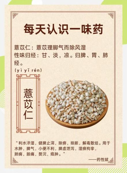薏苡仁的功效与作用_薏苡仁的副作用有哪些-第2张图片-山城妙识 薏苡仁的功效与作用_薏苡仁的副作用有哪些-第2张图片-山城妙识