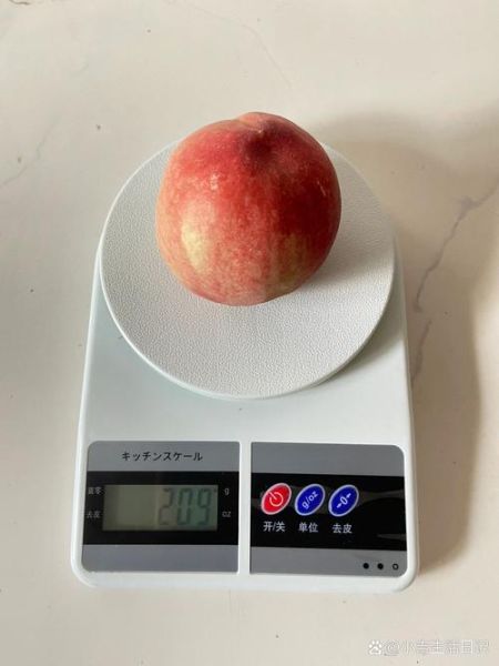 桃子减肥吗_桃子热量高吗-第2张图片-山城妙识 桃子减肥吗_桃子热量高吗-第2张图片-山城妙识