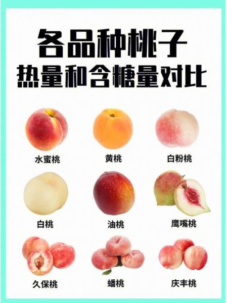 桃子减肥吗_桃子热量高吗-第1张图片-山城妙识 桃子减肥吗_桃子热量高吗-第1张图片-山城妙识
