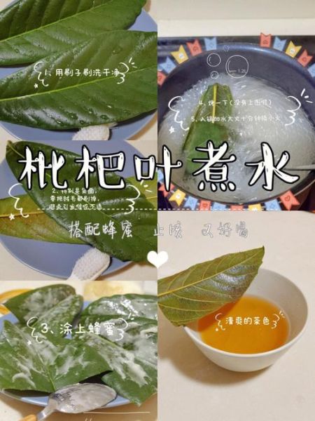 枇杷叶怎么熬水治咳嗽_枇杷叶止咳水做法-第1张图片-山城妙识 枇杷叶怎么熬水治咳嗽_枇杷叶止咳水做法-第1张图片-山城妙识