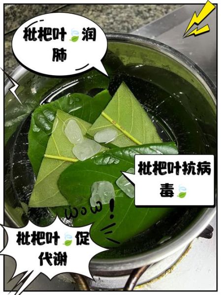 枇杷叶怎么熬水治咳嗽_枇杷叶止咳水做法-第2张图片-山城妙识 枇杷叶怎么熬水治咳嗽_枇杷叶止咳水做法-第2张图片-山城妙识