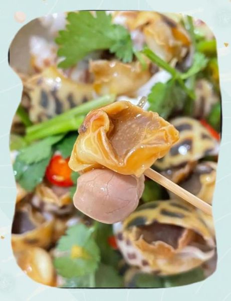 白灼花螺酱汁怎么调_花螺蘸料配方-第3张图片-山城妙识 白灼花螺酱汁怎么调_花螺蘸料配方-第3张图片-山城妙识